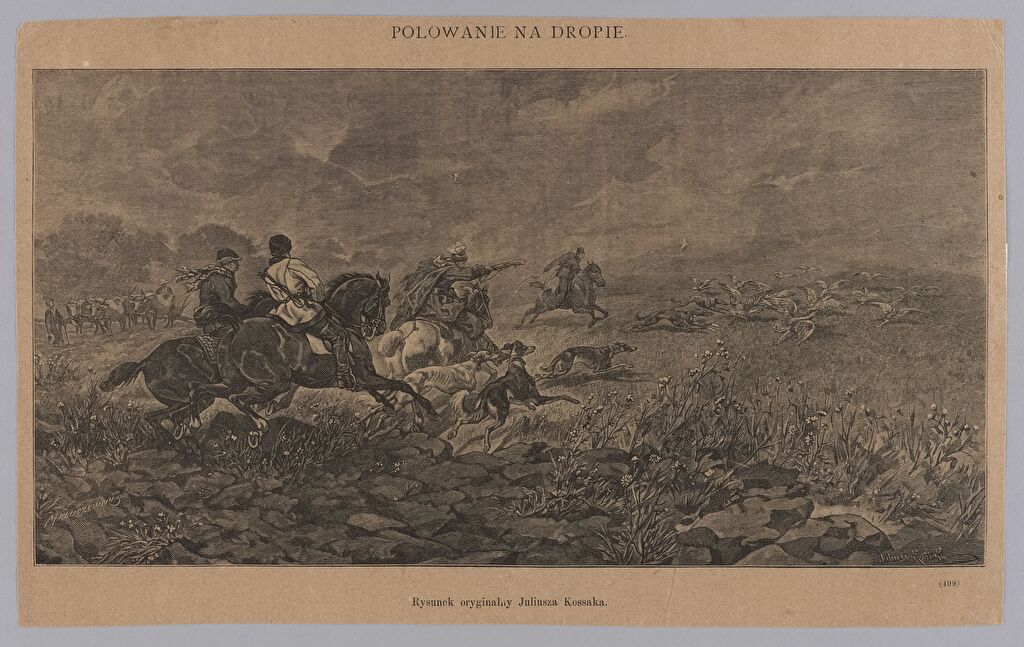 Polowanie na dropie; z: "Tygodnik Ilustrowany" 1884, nr 99 (22 ...