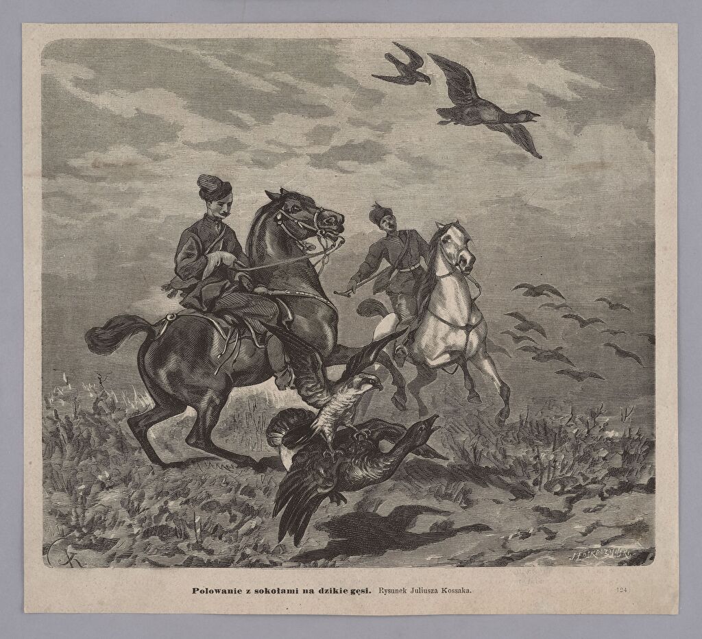 Polowanie na dropie; z: "Tygodnik Ilustrowany" 1884, nr 99 (22 ...